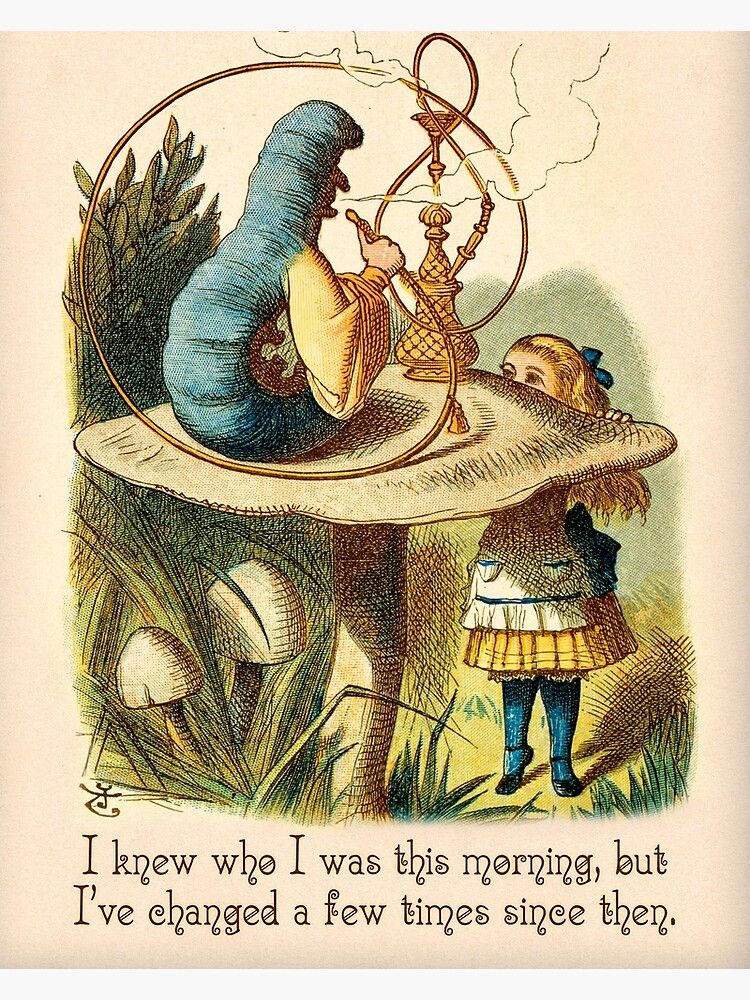 Invit' le thème | Genially