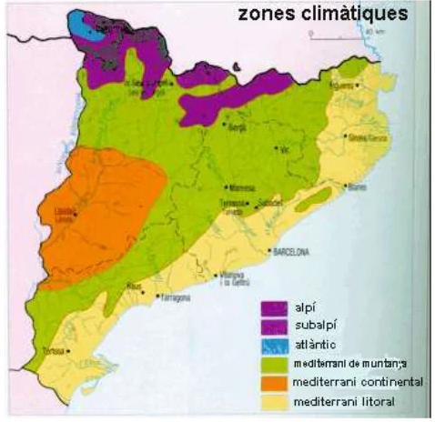 Els climes de Catalunya | Genially