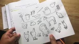 TES DE INTELIGENCIA CUNIGHAM | Genially