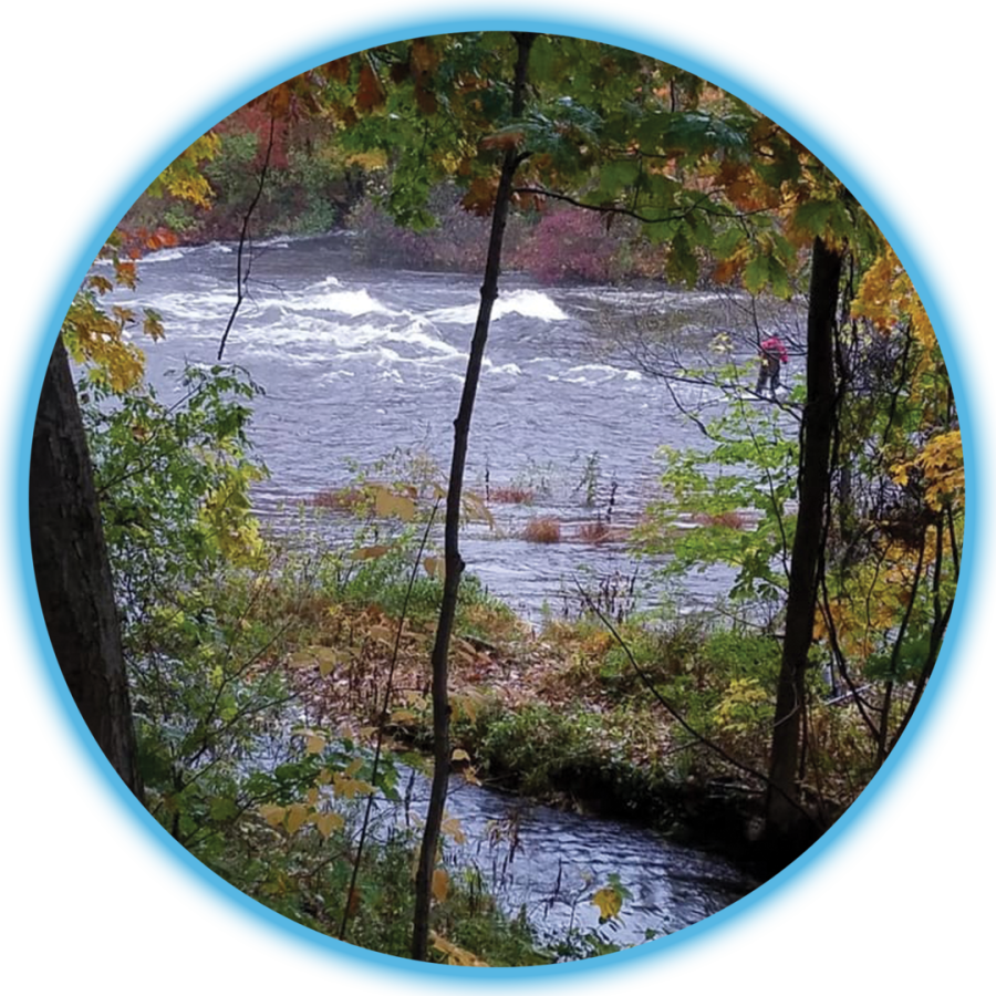 Ríos de España | Genially