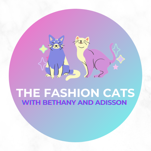 SHEIN PRESENTATION | Genially