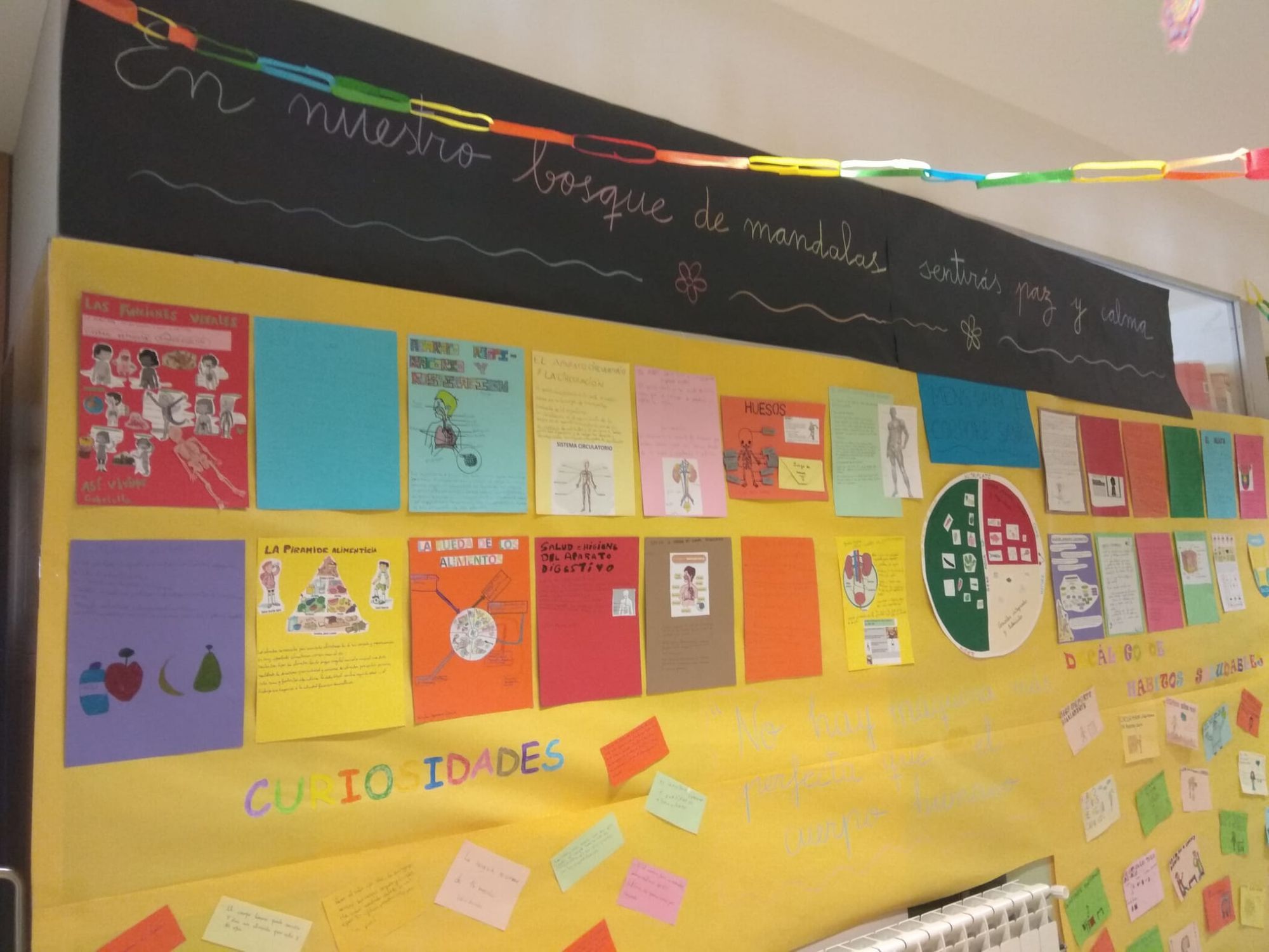 EXPOSICIÓN CUARTO B | Genially