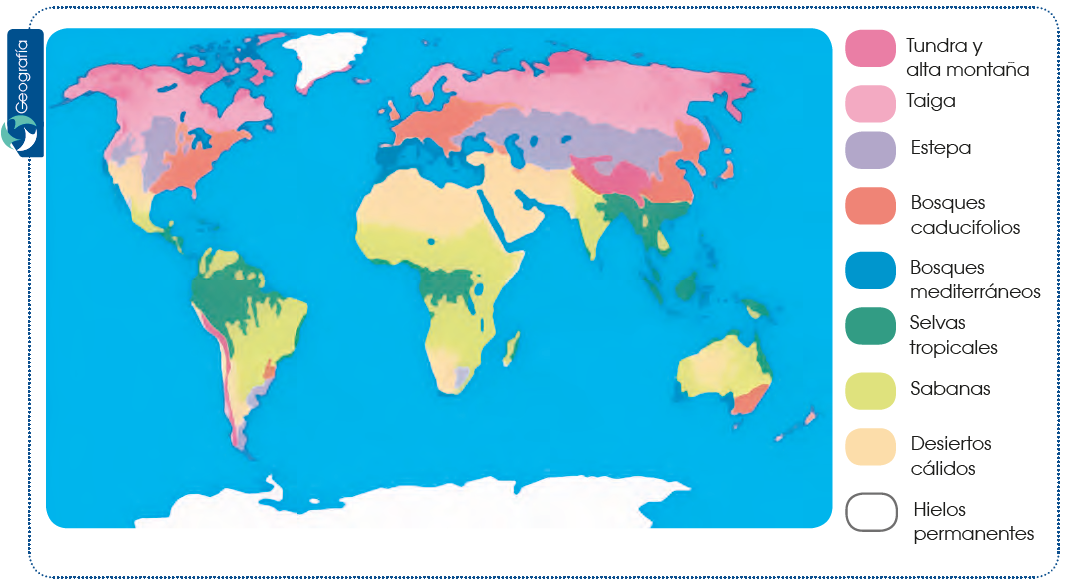 BIOMAS DEL MUNDO | Genially