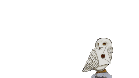 John Milliams | Genially