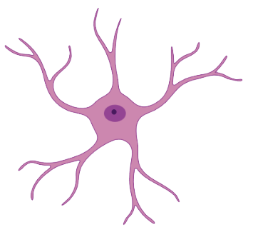 A4 - La transmission des messages nerveux partie 2 (synapse) | Genially