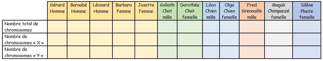 Etude de différents caryotypes | Genially