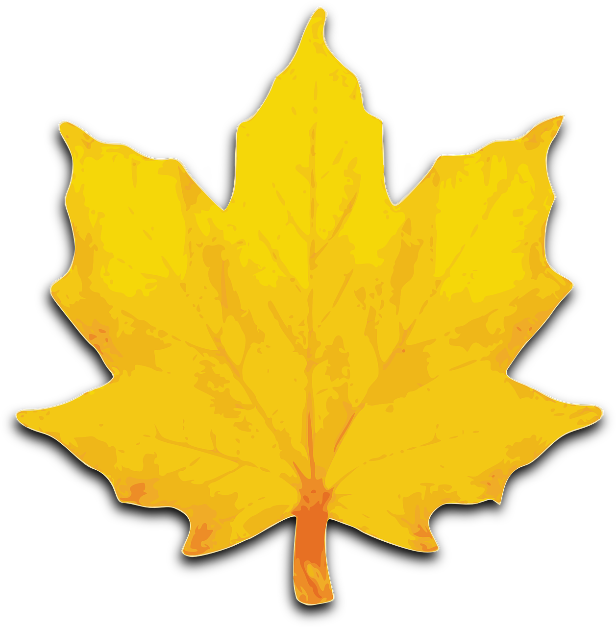 SH 2 Unit 1 Me and my Super Powers | Genially