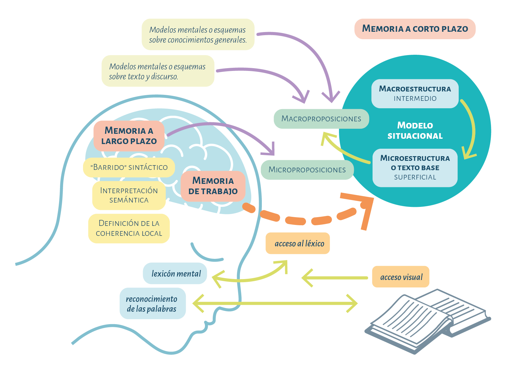 ** FDC_SUP19_dida_CsNat_C3_modelo-estrategico-proposicional | Genially