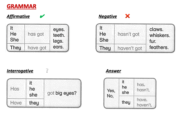 3rd Grade ENGLISH 1st Term | Genially