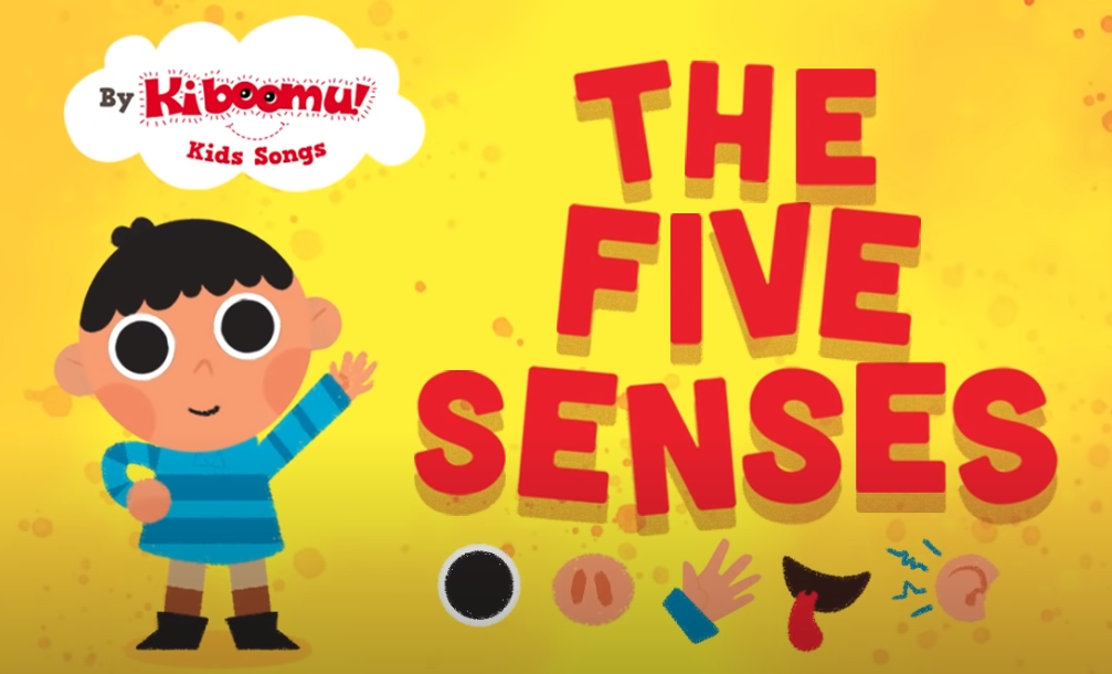 THE FIVE SENSES