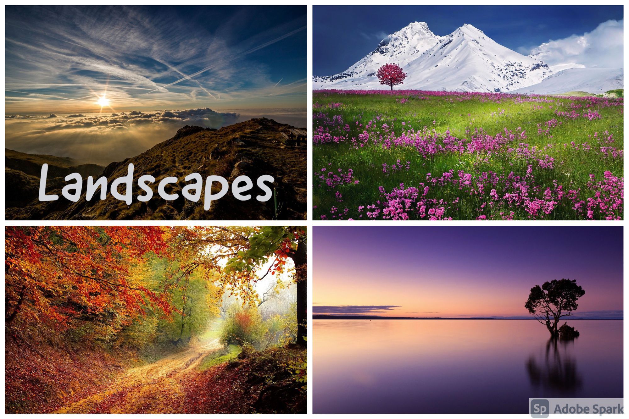 LANDSCAPES