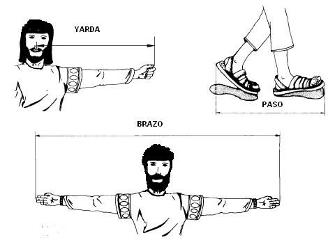 Evolución de los patrones de medida | Genially