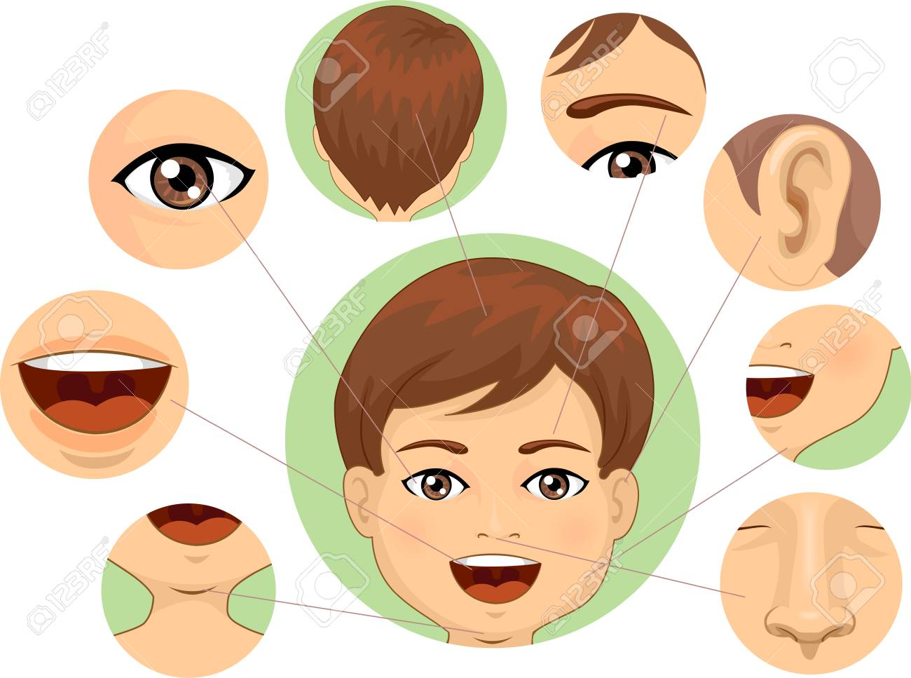 face parts | Genially