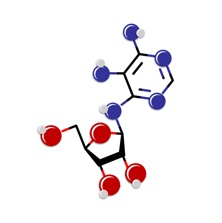 Macromoléculas naturales | Genially