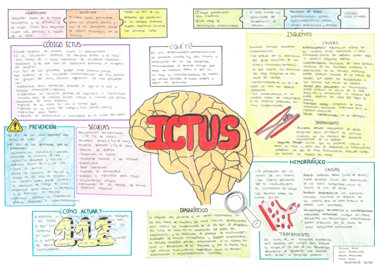 Infografía ictus | Genially