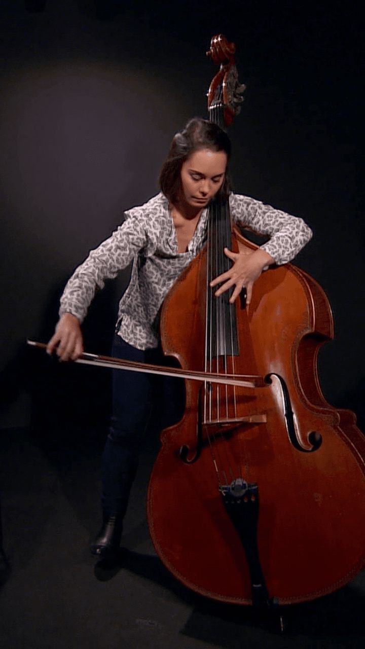 test - Instr Cordes frappées | Genially