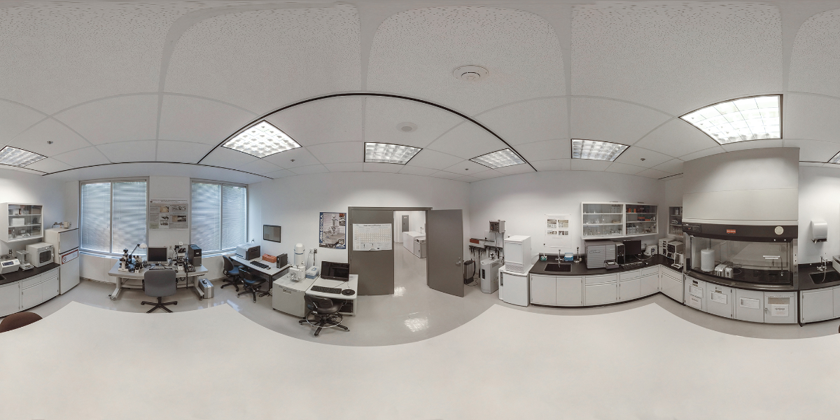 Image 360° interactive | Genially