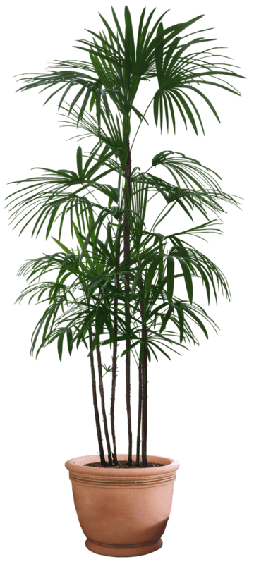 6è virtuelle 2021 | Genially