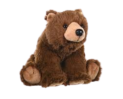 Virtual Library | Genially