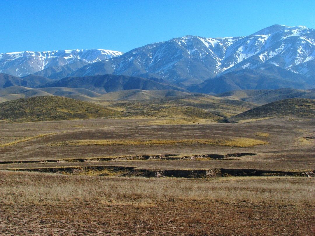 Tajga i tundra | Genially