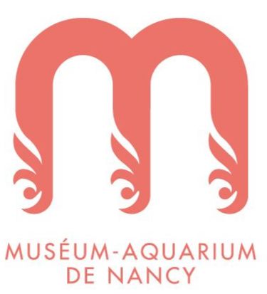 EDT - EUSO - nancy 2 | Genially