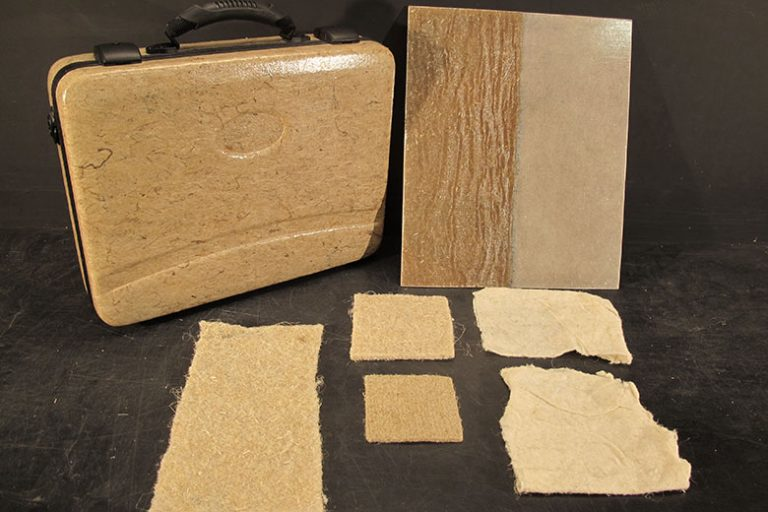 BIOcomposites | Genially