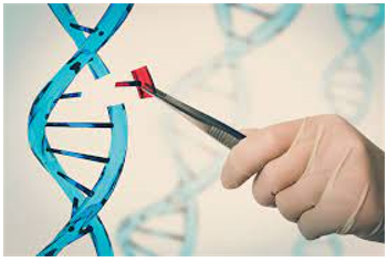 Infografía genética | Genially