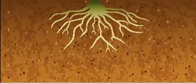 HYPERDOCS &FLIPPED LEARNING | Genially