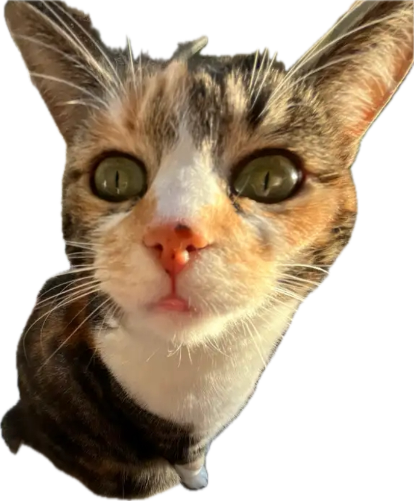 Copie - WISHLIST PRESENTATION | Genially