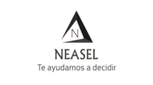 INFOGRAFÍA DE LA APP NEASEL