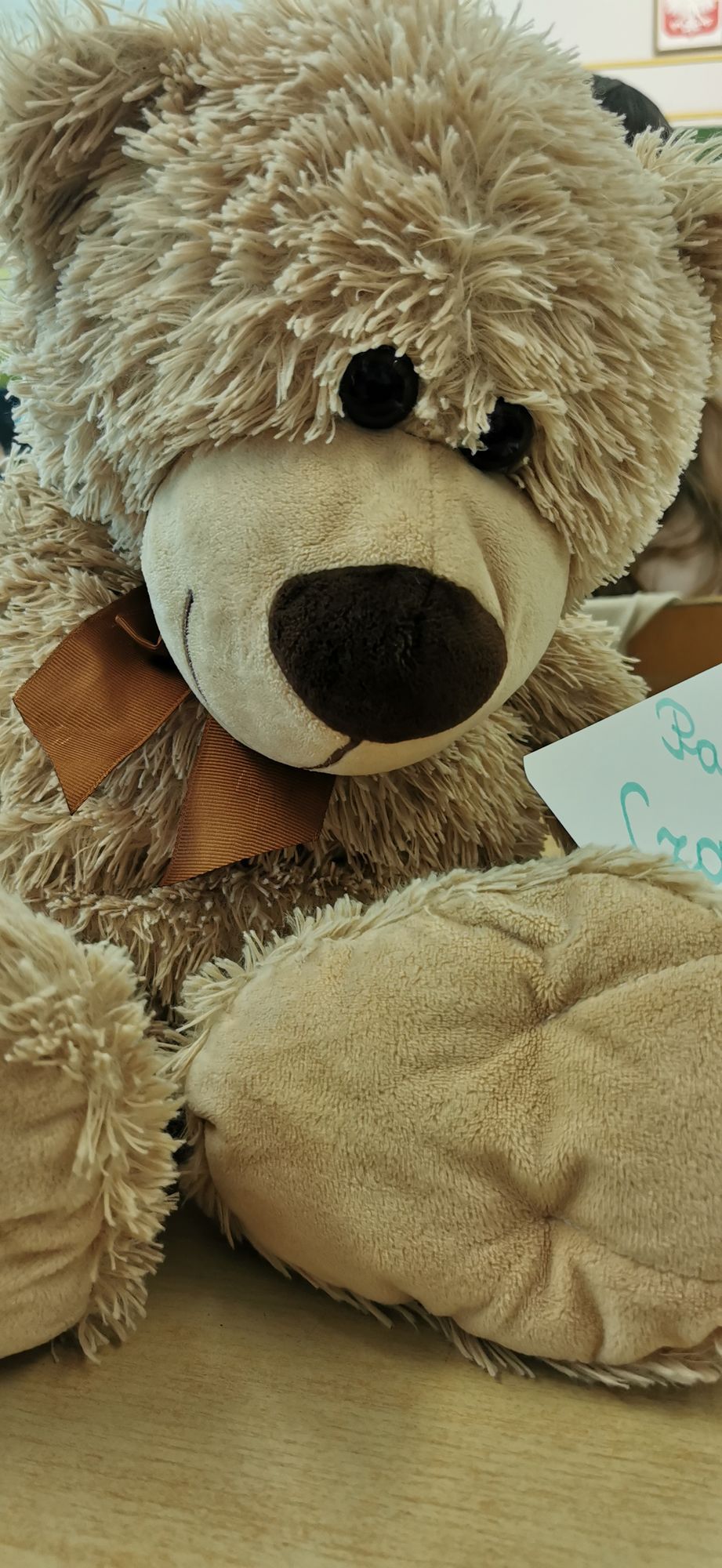 "PAMIĘTNIK CZARNEGO NOSKA" - KLASA 3B/SP-5 SŁUPSK/2024/2025 | Genially