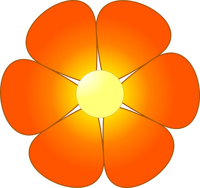 Bee dobble | Genially