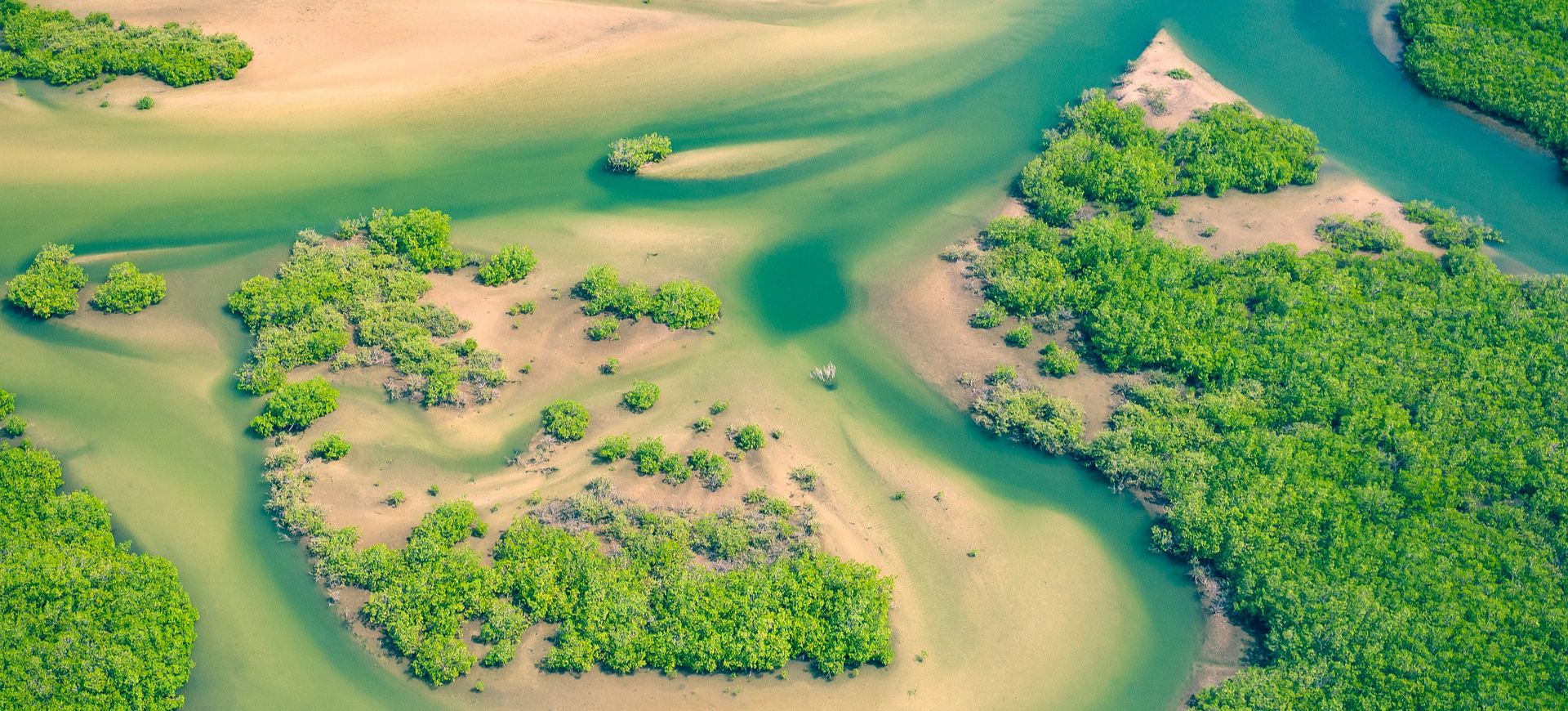 ''Tamango'' Prosper Mérimée | Genially