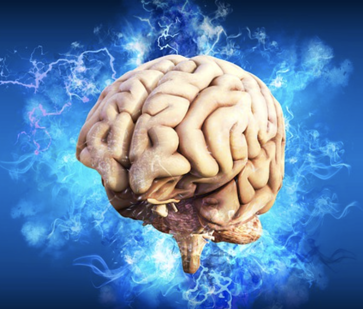 Neuroeducación | Genially