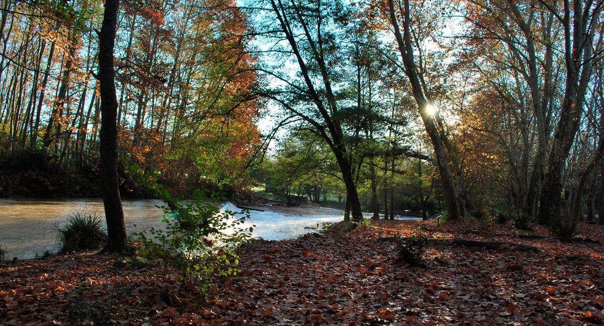 Inici curs vertical | Genially