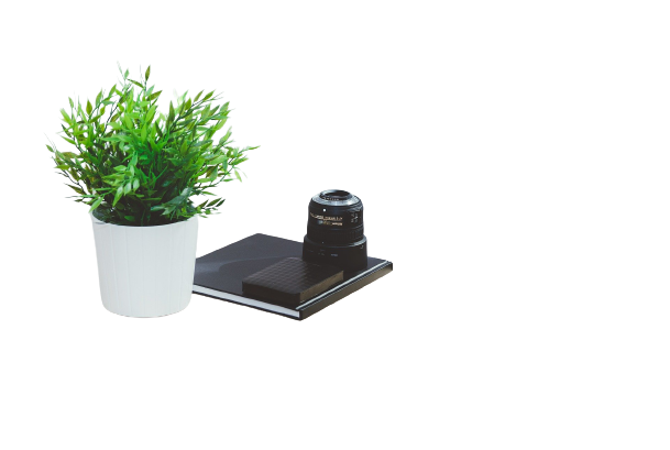 Virtual class ML1 S4 Warriors of the Pacific | Genially