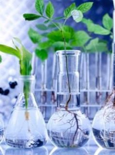 Proyecto Integrador Respaldo . | Genially