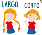 LARGO/CORTO/ANCHO/ESTRECHO/ALTO/BAJO | Genially