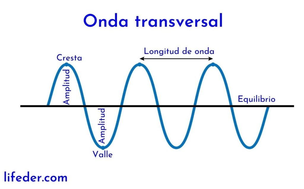 Tipos de Ondas | Genially