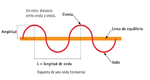 Tipos de Ondas | Genially