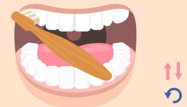 El lavado de dientes | Genially