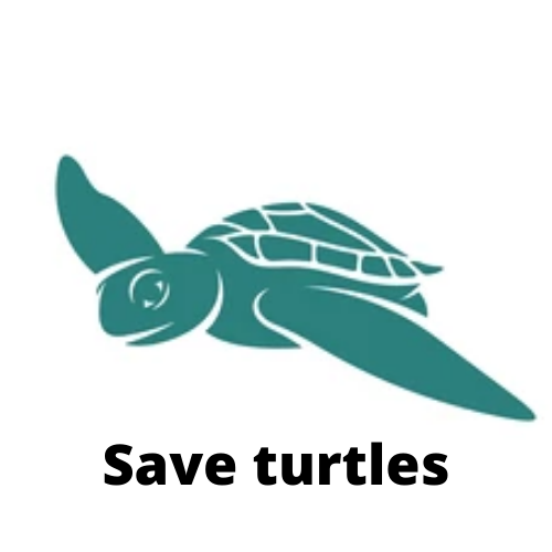 ONG save the turtles | Genially