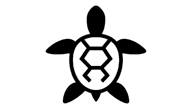 ONG save the turtles | Genially