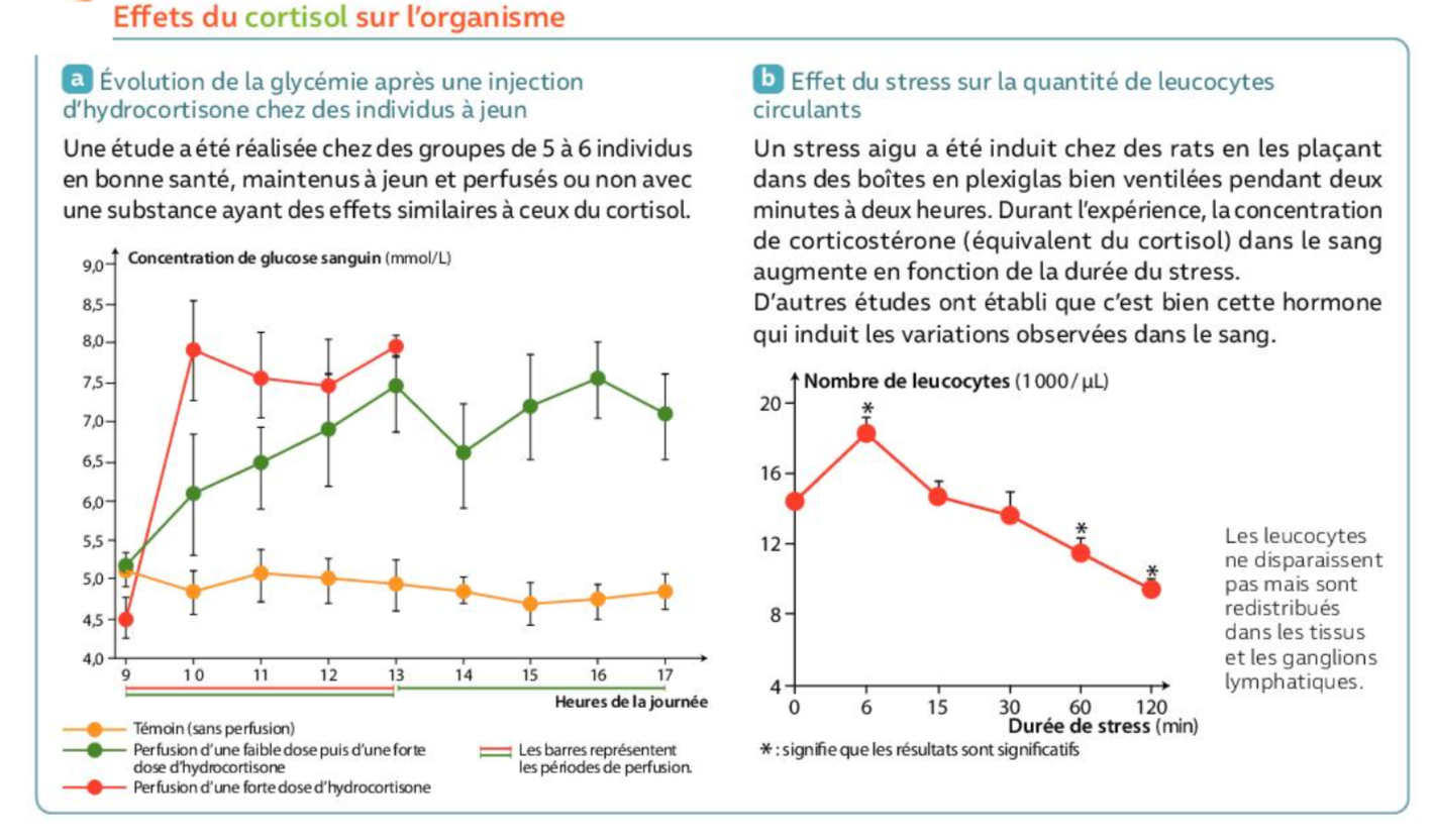 Etape 5 La boucle de régulation du stress | Genially