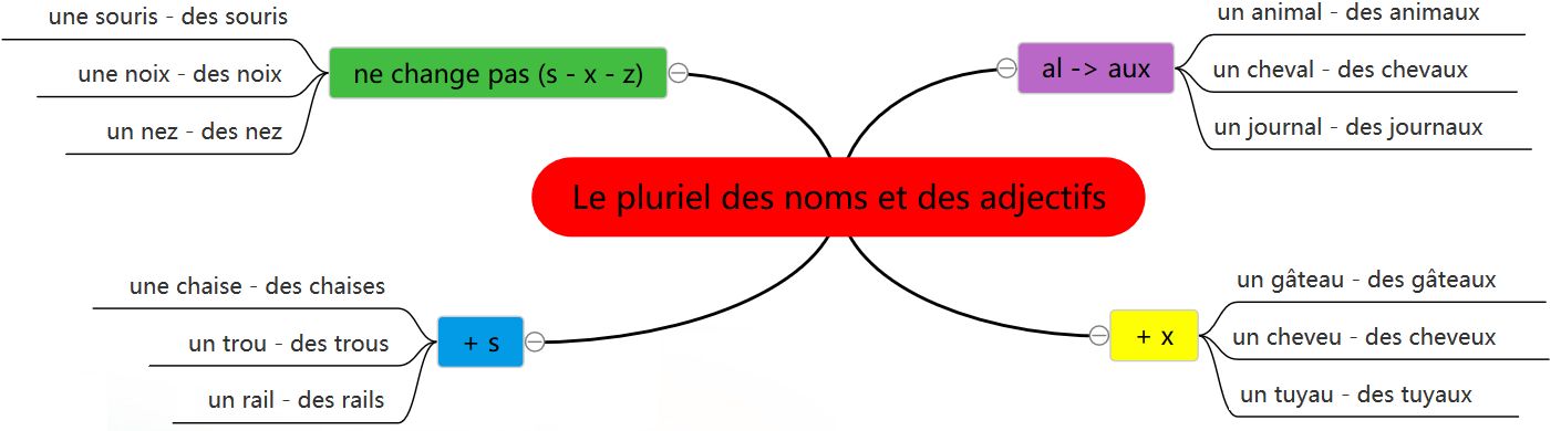 Le pluriel des noms et des adjectifs | Genially
