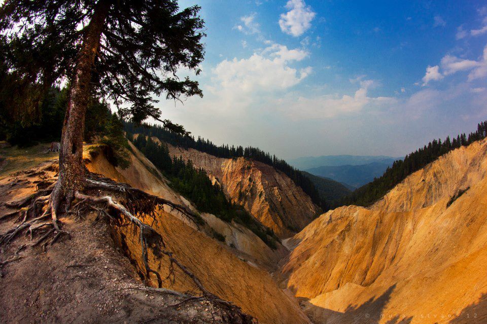 MICROFORME DE RELIEF