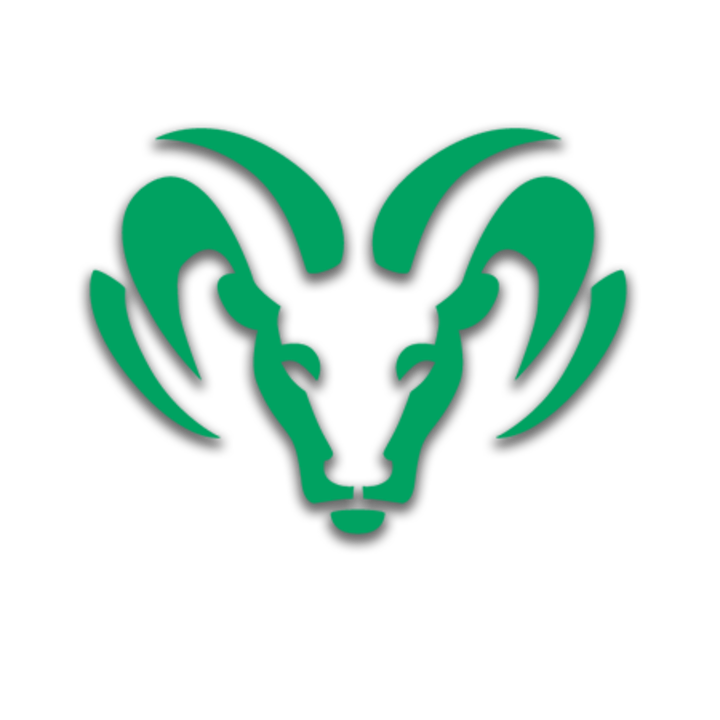 Berkner Virtual Library