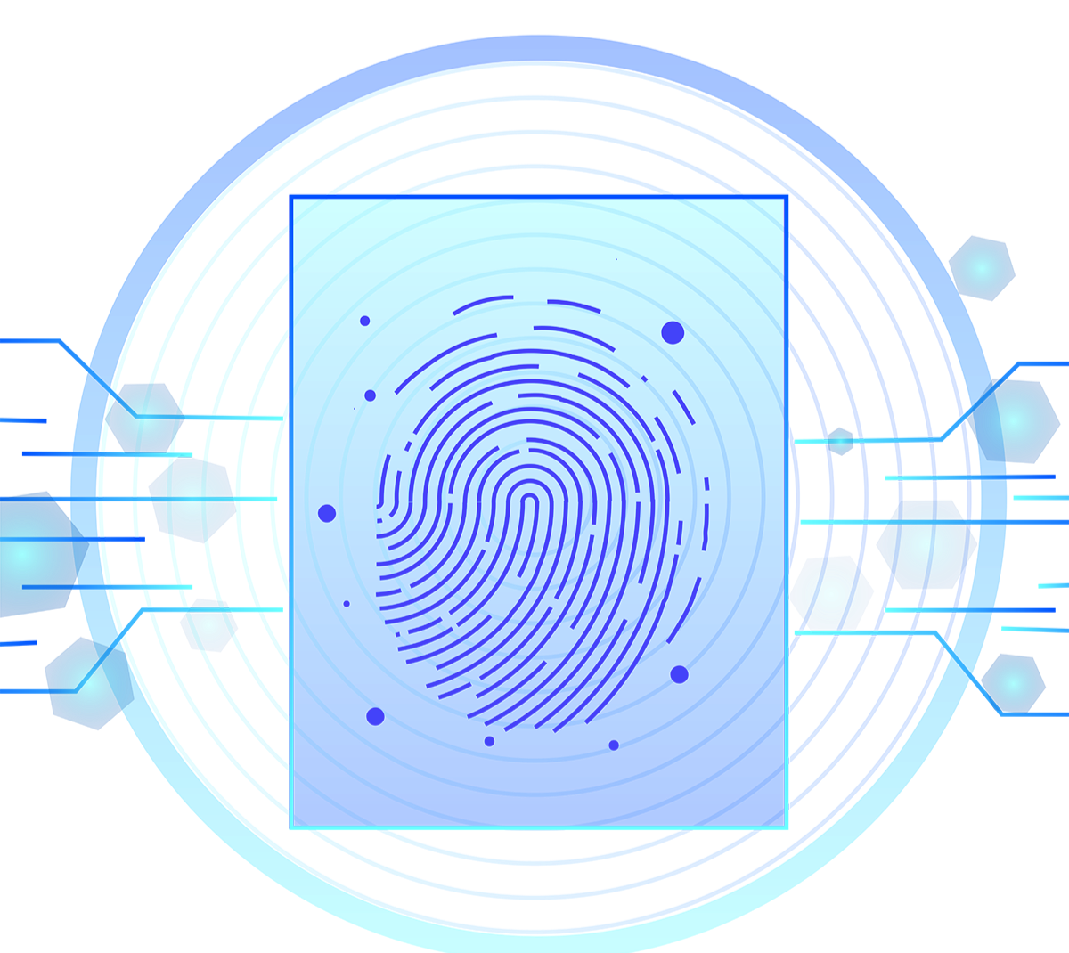 Tipos de huella digital | Genially