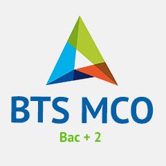 bts MCO Epreuve E41 et E 42 | Genially