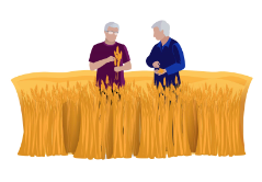 AMONT/AVAL | Genially